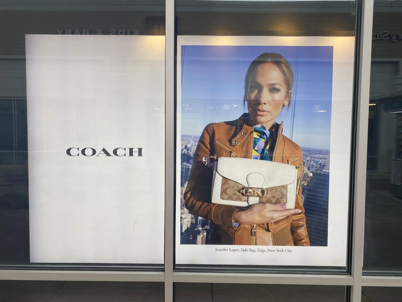 Window Decals, Signage and Graphics in Tampa, Ybor City, Brandon ...